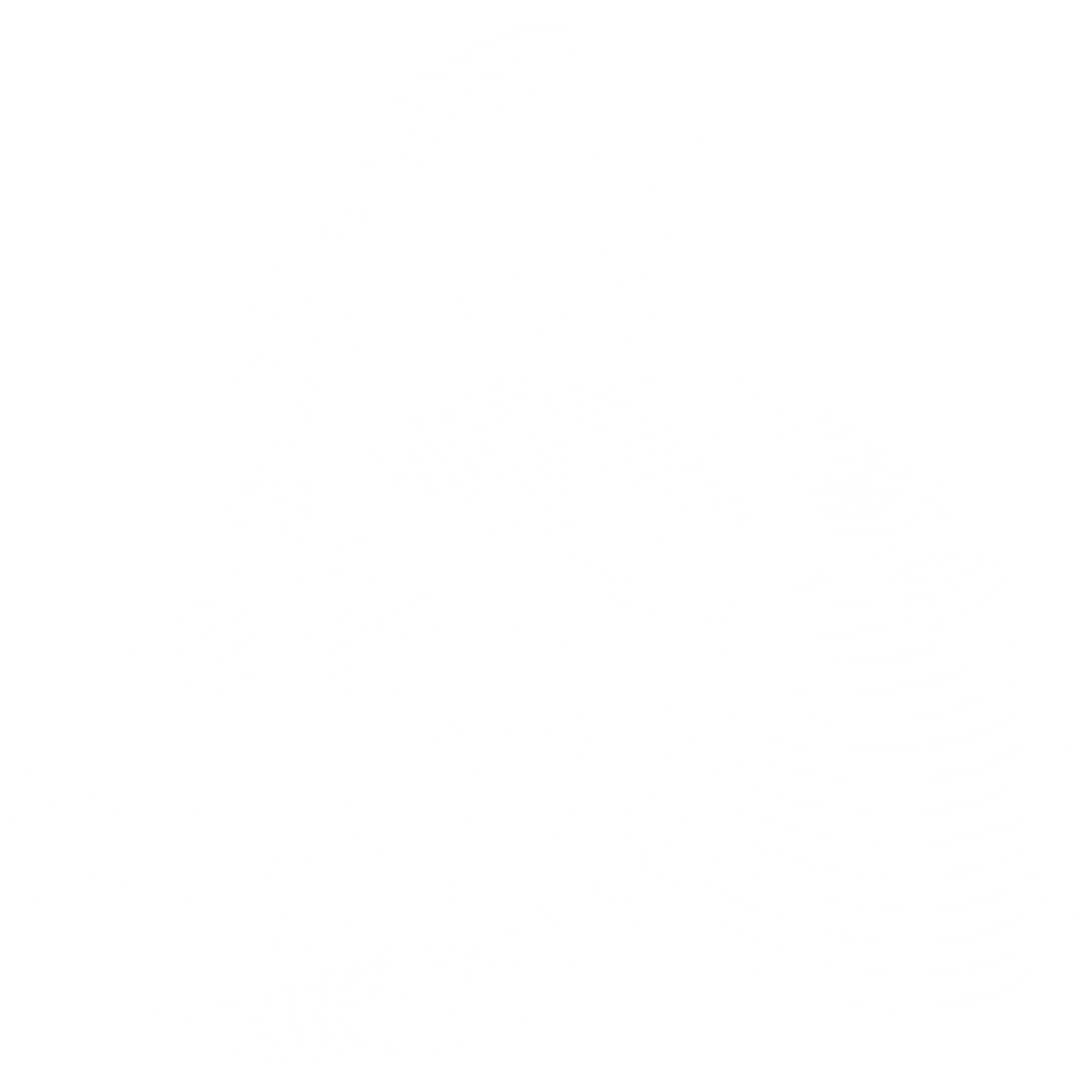 Verdeon Technologies - AI-Powered Renewable Energy & Mobility Solutions